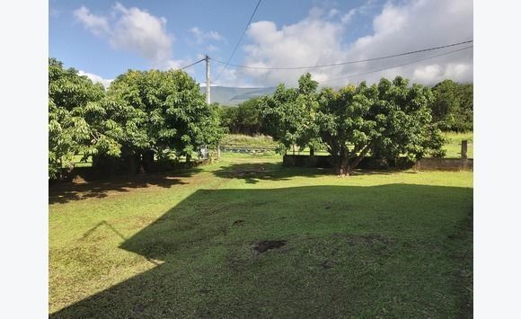 Sainte anne - cambourg- magnifique... - Ventes Terrain La Réunion • Cyphoma